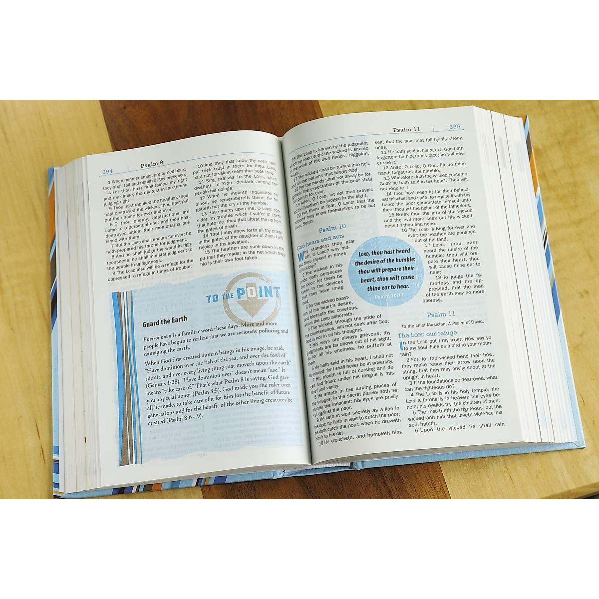 KJV, Teen Study Bible, Hardcover