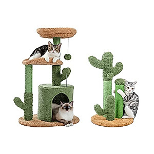 PAWZ Road Cat Tree 32 Inches Cactus Cat Tower Bundle with 23 Inches Cactus Cat Scratcher Featuring with 3 Scratching Poles