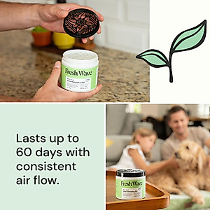 Fresh Wave Odor Removing Gel, 15 oz. | Pack of 2 | Odor Absorbers for Home | Safer Odor Relief | Natural Plant-Based Odor Eliminator | Every 15 oz. lasts 30-60 Days | For Cooking, Trash & Pets