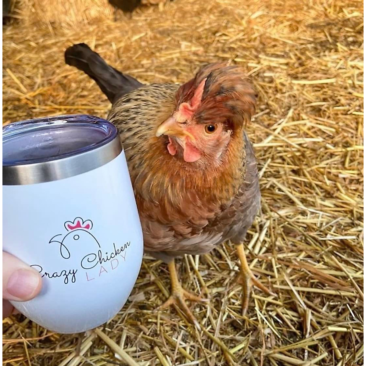 Crazy Chicken Lady - Stainless Steel Stemless Wine Glass - Crazy Chicken Lovers Gifts