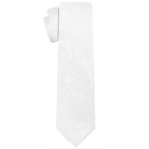 KissTies Mens Necktie Paisley Tie + Gift Box