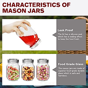 SLifeJars 30 Pcs Mason Jars 8 oz Regular Mouth Clear Glass Jars with Airtight Leak Proof Lids and Bands Canning Jars Reusable Spice Jars for Kitchen Food Storage Prep Overnight Oats Jam Jelly Honey