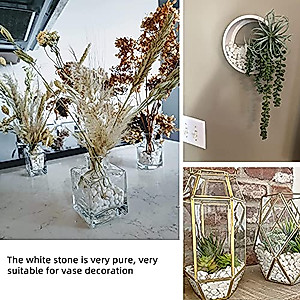 Anothera 18-lb Bulk Bag White Pebbles 1/2" Size Aquarium Gravel Outdoor Garden Paving Plant Decorative Stones