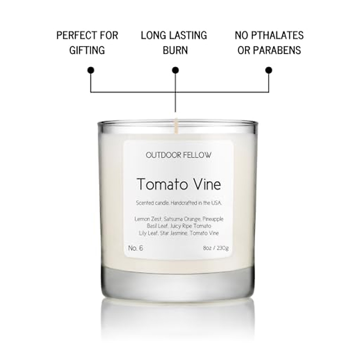 Outdoor Fellow Tomato Vine Luxury Scented Candle, 40+ Hour Burn Time, Coconut & Apricot Wax Blend, Best Smelling Luxury Tomato Candle for Home, (8oz)