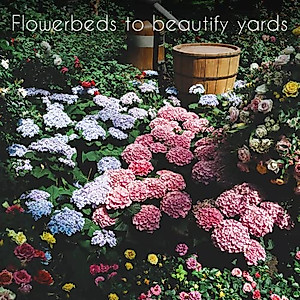 Flower Seeds Packets for Planting 35 Individual Varieties Perennial, Annual, Wildflower Seeds for Planting Outdoors for Bees and Butterflies - Semillas de Flores Hermosas by Gardeners Basics.