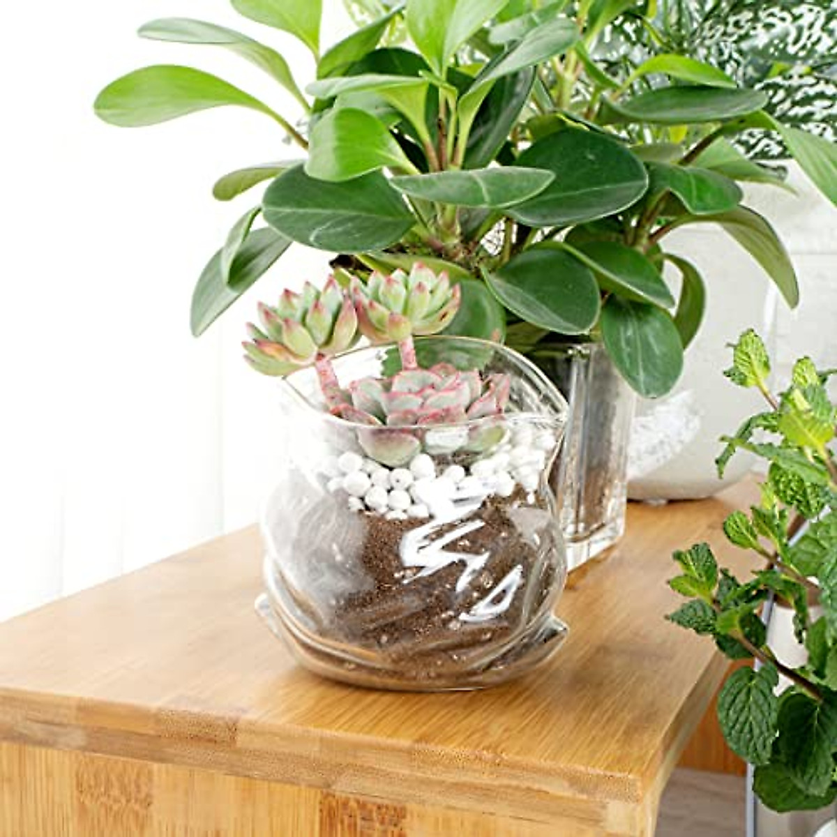 8 Ounce Glass Zipper Bag, 1 Small Glass Bag - Realistic Crinkled Edges, Serve Candy, Popcorn, or Nuts, Clear Glass Bag Bowl, Dishwashable, Flat Base - Restaurantware.