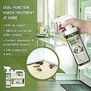 EcoVenger Roach & Ant Killer, Kills on Contact, Extended 4-Week Deterrence, Kills Ants & Other Indoor&Outdoor Crawling Insects, Natural & Non-Toxic, Pleasant Botanical Scent, Safe for Children & Pets