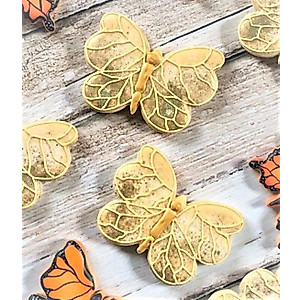 Small Butterfly/Moth Cookie Cutter, 3" Made in USA by Ann Clark