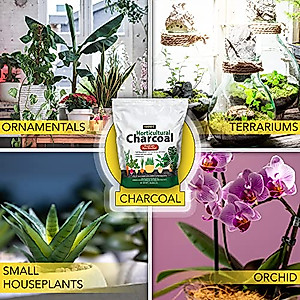 Harris Horticultural Charcoal, Premium Biochar Soil Amendment for Plants and Terrariums, 2qt