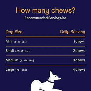 Finn All-in-1 Dog Multivitamin - Everyday Vitamin Supplement for Dogs with Probiotics, Omega-3s, Glucosamine + Chondroitin | Gut & Immune Health, Joint Support, Heart Health | 90 Soft Chew Treats