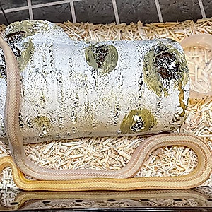 Aufeeky Reptile Hides and Caves, Reptile Hide Birch Tree Bark Trunk, Gecko Hides and Caves for Snake Leopard Gecko Ball Python Bearded Dragon Tortoise Turtle