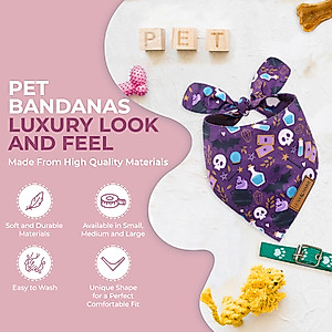 LunaMarie - Luxury Pet Birthday Bandanas -Premium & Silky Poly Fabric | 100% Handmade | Custom Shape Dual Layered (Bewitched, Large)