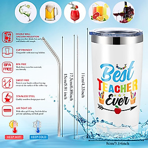 Rtteri 4 Pieces Teacher Appreciation Gifts Teacher Tumbler Bulk 20 oz Teacher Stainless Steel Tumbler Cup with Lids and Straws Brushes Thank You Tumbler Mug for Graduation Teacher Birthday Gifts