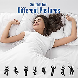 Continental Bedding - Affinity Down Alternative Bed Pillow - 300 Thread Count 100% Soft Cotton Super Standard Queen Size 20x28 Pillow Pack of 2 Best Polyester Pillow for Sleeping
