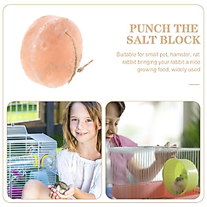 POPETPOP Salt Licks Small Animals Salt Blocks Rabbit Mineral Salt Licks with Rope Hamster Teeth Grinding Stones Natural Bunny Chew Treat Toys for Rats Guinea Pig Ferrets