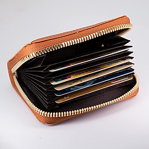 louyebh Credit Card Holder, Zipper Card Cases Organizer Wallet for Men Women Canvas Key Chain Compact Small Size Coin Bag (Black Flowers)