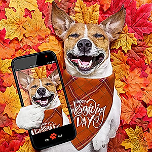 4 Pieces Thanksgiving Dog Bandana Fall Plaid Bandanas for Small to Large Dogs Puppy Cat Pet Triangle Bandana Scarf Adjustable Holiday Dog Bandana Bibs Party Costume