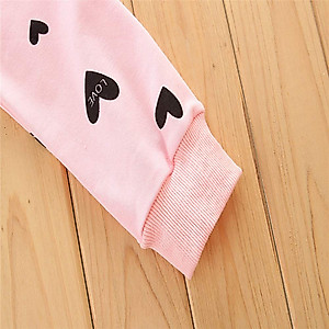 Little Girl Clothes Infant Outfits Set 2 Pieces Long Sleeved Tops and Pants (Pink, 2-3 T)