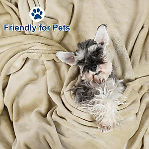 PHF Ultra Soft Fleece Blanket Queen Size, No Shed No Pilling Luxury Plush Cozy 300GSM Lightweight Blanket for Bed, Couch, Chair, Sofa Suitable for All Season, 90" x 90", Khaki