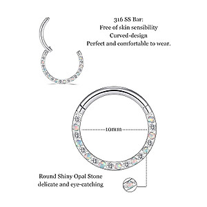 Uzgtvy 16G Opal Hinged Septum Rings Piercing Jewelry Clicker 316L Surgical Stainless Steel Seamless Segment Cartilage Helix Rook Daith Earring Lip Septum Nose Rings Piercing Jewerly Women Men Silver