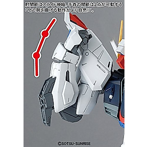 Bandai Hobby MG Freedom Gundam (Ver. 2.0)"Gundam Seed 1/100, Multi-Colored, 8" (BAN204883)