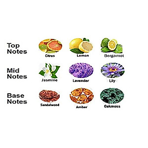 English Laundry Notting Hill Eau de Parfum Gift Set