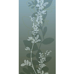 Ascending Vine II Art Print Art Poster Print by Loka , 18x36