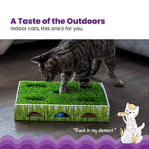 Catstages Grass Patch Hunting Box Cat Toy