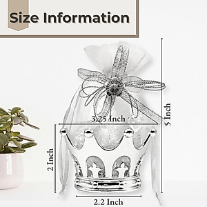 JC HUMMINGBIRD JCHB 24 Pieces Fillable Silver Crown with Pouch Party Favors