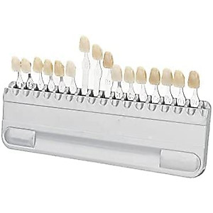 Tooth Shade Guide Teeth Whitening Tool 16 Colors Deachable Teeth Easily for Comparing Tooth Shade Before & After Bleaching