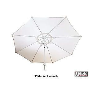 AMS Fireplace Lion BBQ Package Gas Grill 32", Double Side Burner, Door Drawer Combo, Vertical Door, Sink with Faucet and Accessories (Liquid Propane) | Free Table-top Bio Ethanol Fire Pit.