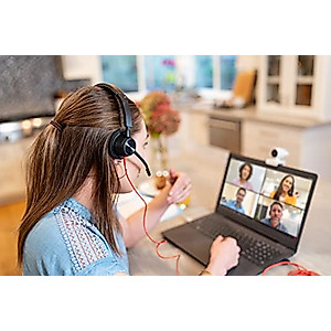 Plantronics Blackwire 3315, BW3315 USB-C Headset, 213937-01