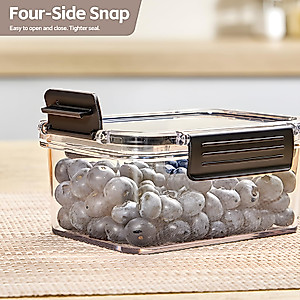 JINXIUYONGYUE Freshman box, lunch box, food and fruit storage container, sealed and leak proof, containing 35.8 ounces, 14.7 ounces, container, and two cleaning cloths