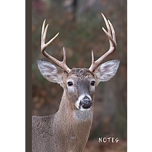 Notes: Hardcover / Password Book Cleverly Disguised With Beautiful Design / Deer Buck - Animal Art / Discreet Internet Username and Website Login ... / Great Senior Citizen Gift For Women Men