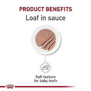 Bundle of Royal Canin Feline Health Nutrition Kitten Thin Slices in Gravy Canned Cat Food, 3 Oz Can, Pack of 24 + Royal Canin Feline Health Nutrition Kitten Canned Cat Food 24 Count (Pack of 1)