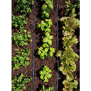 Habitech 1/4" Irrigation Dripline Tubing (100 Ft Roll) - 6" Emitter Spacing - 1/4" Drip Irrigation Fittings Included