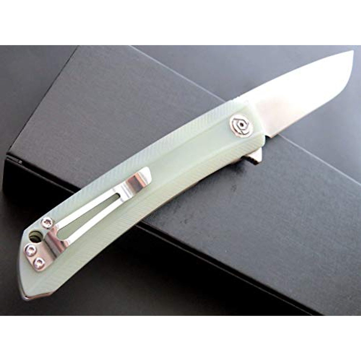 Eafegrow CH3002-G10 Folding Camping Knives 3.7 inch D2 Blade and G10 Handle Pocket Knives Outdoor Hunting Knife Tactical Folding Knives (jade)