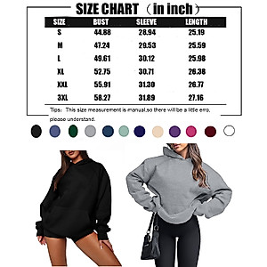 onlypuff Womens Hooded Sweatshirt White Long Sleeve Hoodies Casual Basic Workout Tops S