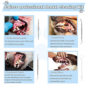 FZChenrry Plaque Remover for Teeth,Pet Ultrasonic Cleaner,Teeth Cleaning Kit for Tartar and Stains,5 Modes with Dental Tools Scaler Scraper