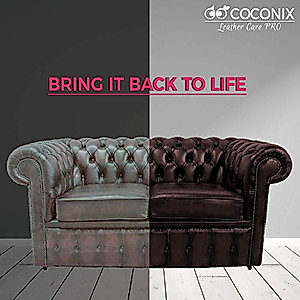 Coconix Vinyl and Leather Repair Kit and Brown Leather and Vinyl Repair Kit Set