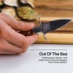 HiCoup Oyster Shucking Knife and Glove Kit - Clam and Oyster Knife Shucker Set with Stainless Steel Seafood Opener Tool, Wood Handle and Gloves﻿