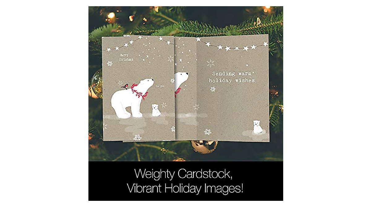 Tree-Free Polar Bear Holiday Cards - Eco-Friendly Set