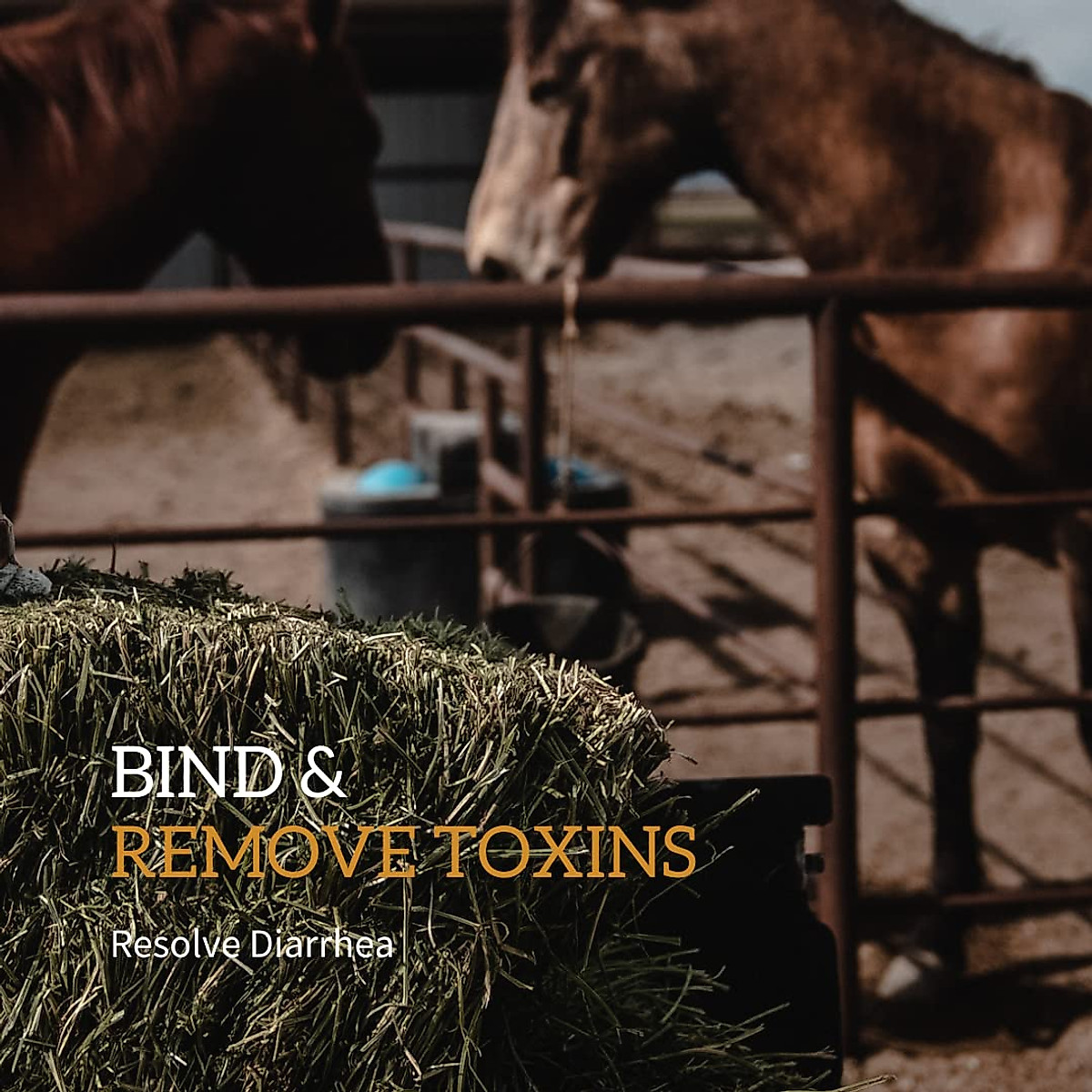 Daily Gold Stress Relief – Natural Digestive and Ulcer Supplement for Horses