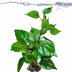 JOR Plastic Leaf Plant for Freshwater or Marine Tanks, 10" Ultra-Realistic Fake Aquarium Plant, 1 Piece