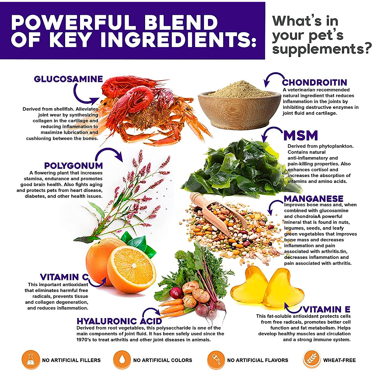 VetSmart Formulas Joint Supplement for Dogs (Early Stage, Pack of 1)