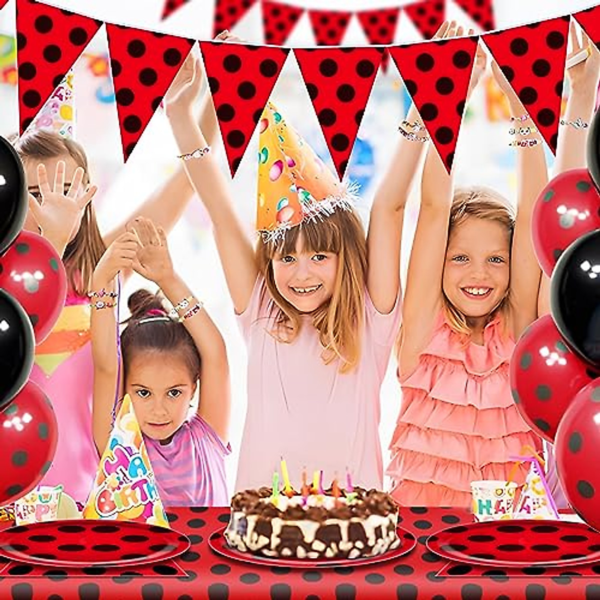 Ladybug Party Decoration Banner Ladybug Birthday Party Supplies Girls Birthday Party Decorations