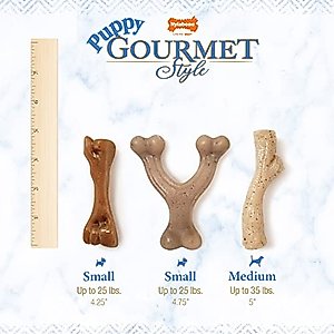 Nylabone Dog, Puppy Gourmet Style Strong Chew Toy Wishbone Peanut Butter Small/Regular (1 Count)