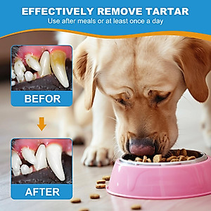 Usnsyyd Dog & Cat Teeth Cleaning Wipes, Reduces Plaque & Freshing Breath,Canine Finger Toothbrush, Disposal Gentle Cleaning & Gum Care Pet Wipes, Widen 1.77",Mint Flavor,50Pcs