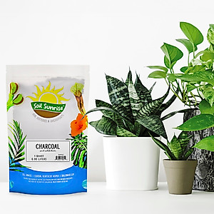 Horticultural Charcoal for Indoor Plants (1 Quart), Hardwood Soil Additive for Orchids, Terrariums, and Gardening