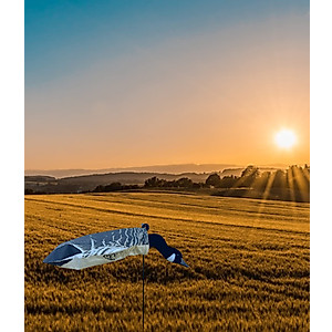 SnowDown Decoys Canada Goose Feeder Socks. Canada Goose Windsocks with Flocked 3D Heads!